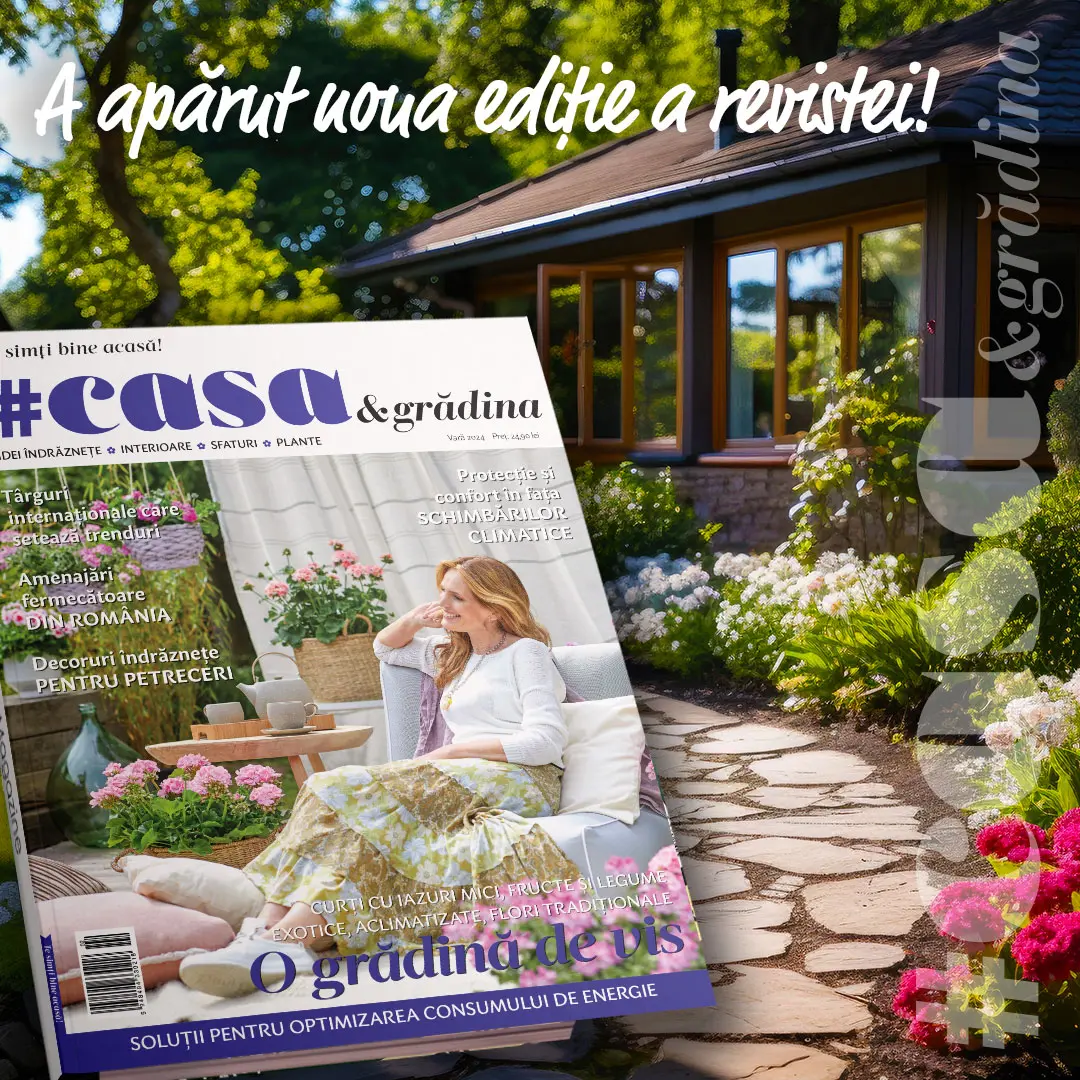 Gradina | Casa si Gradina