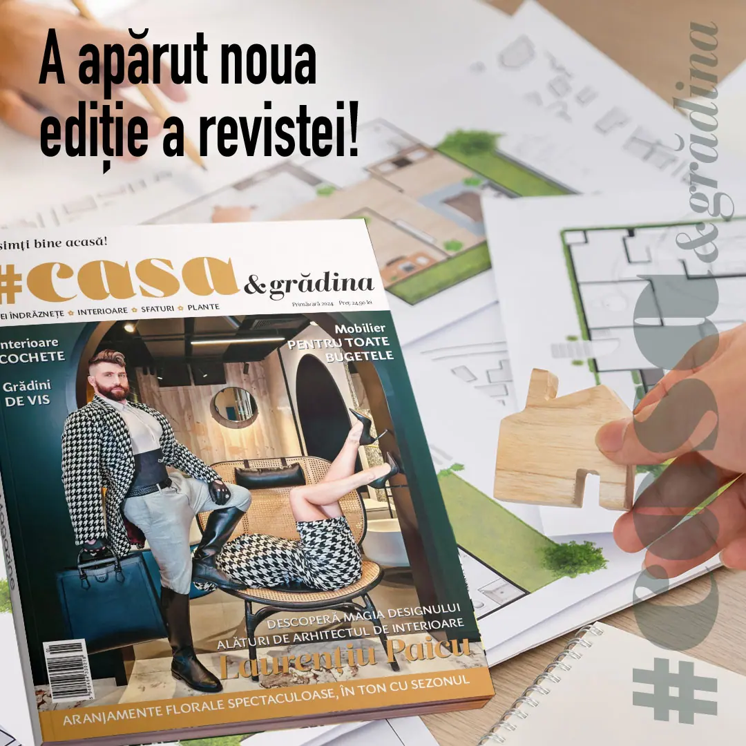 Casa | Casa si Gradina